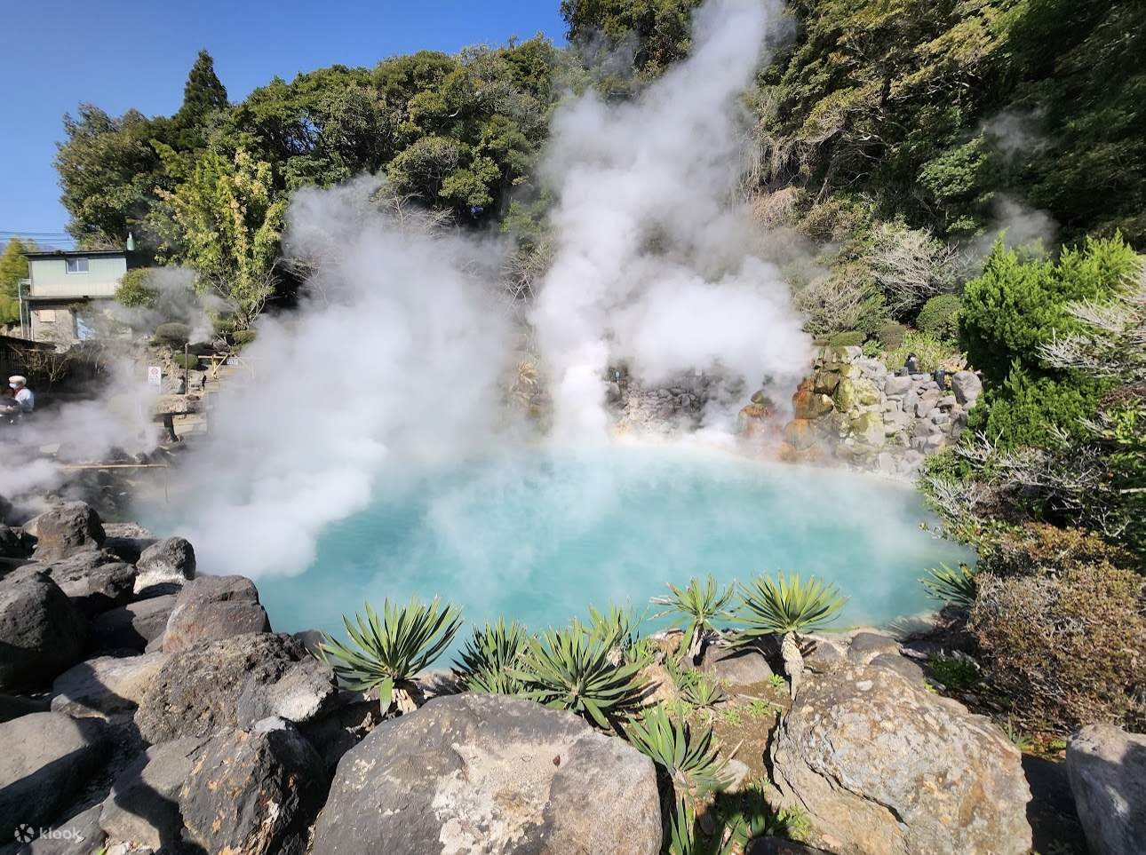 Kyushu, Fukuoka, and Beppu Private Guided Tour - Klook Singapore